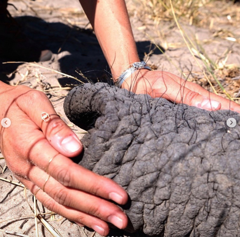 American Rhino ‘4 Strand’ Elephant Bracelet